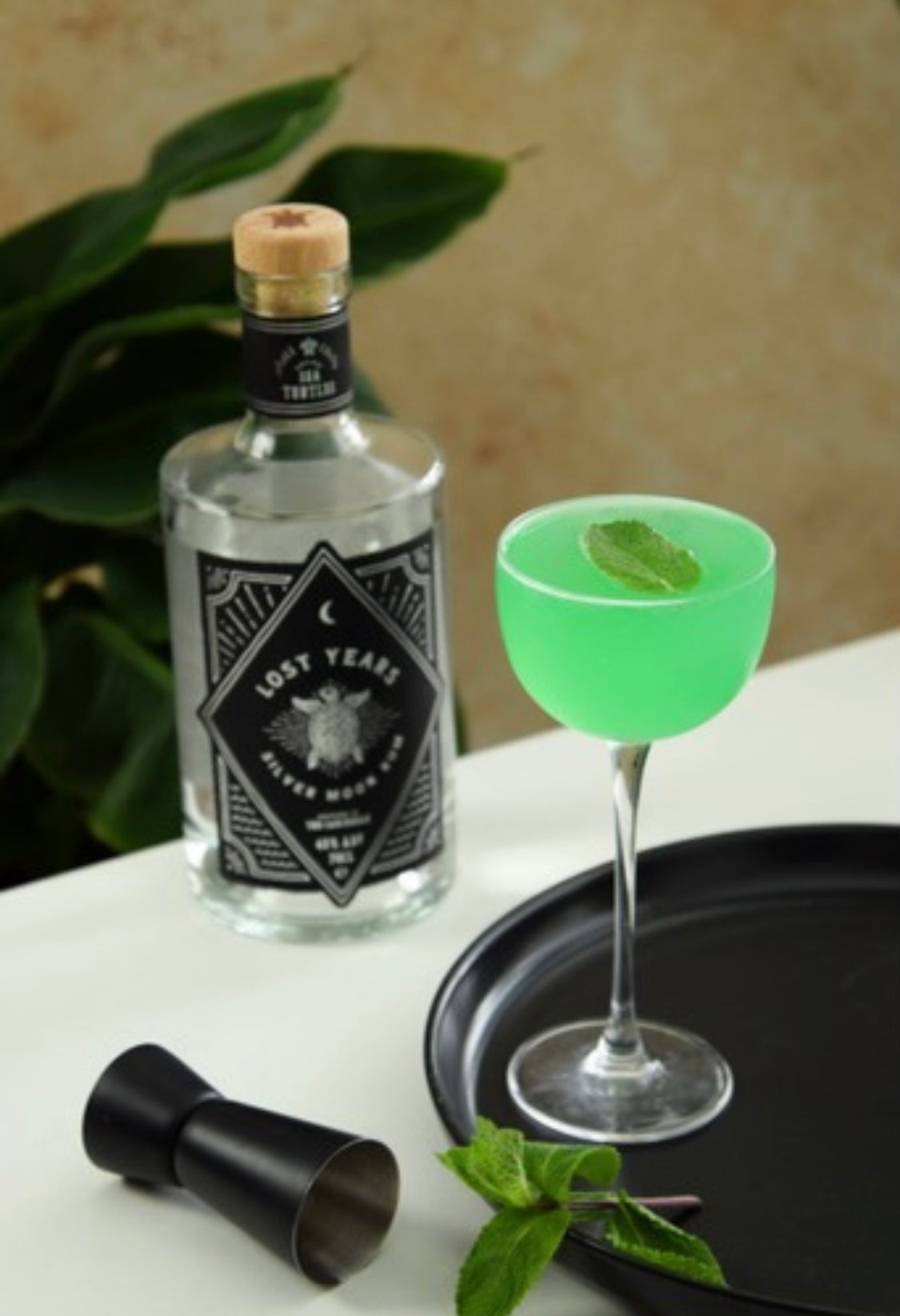 CELEBRATE SEA TURTLE WEEK WITH A GREEN TURTLE! – Lost Years Rum